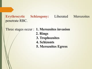 Biology and Drug Therapy of Malaria | PPTX