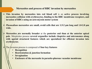 Biology and Drug Therapy of Malaria | PPTX