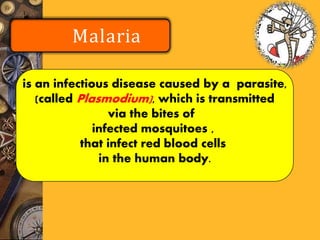 Malaria | PPTX