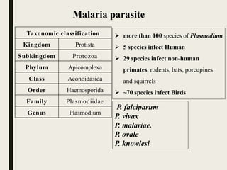 biology behind malaria | PPTX