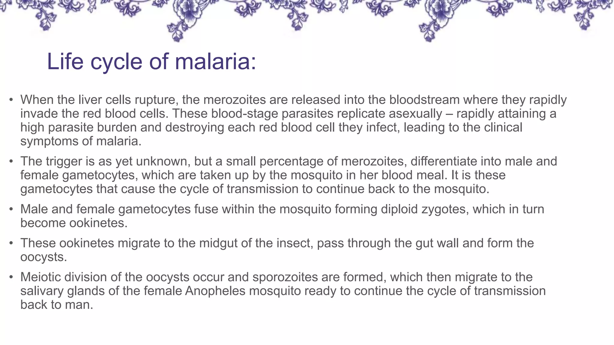 Malaria | PPTX