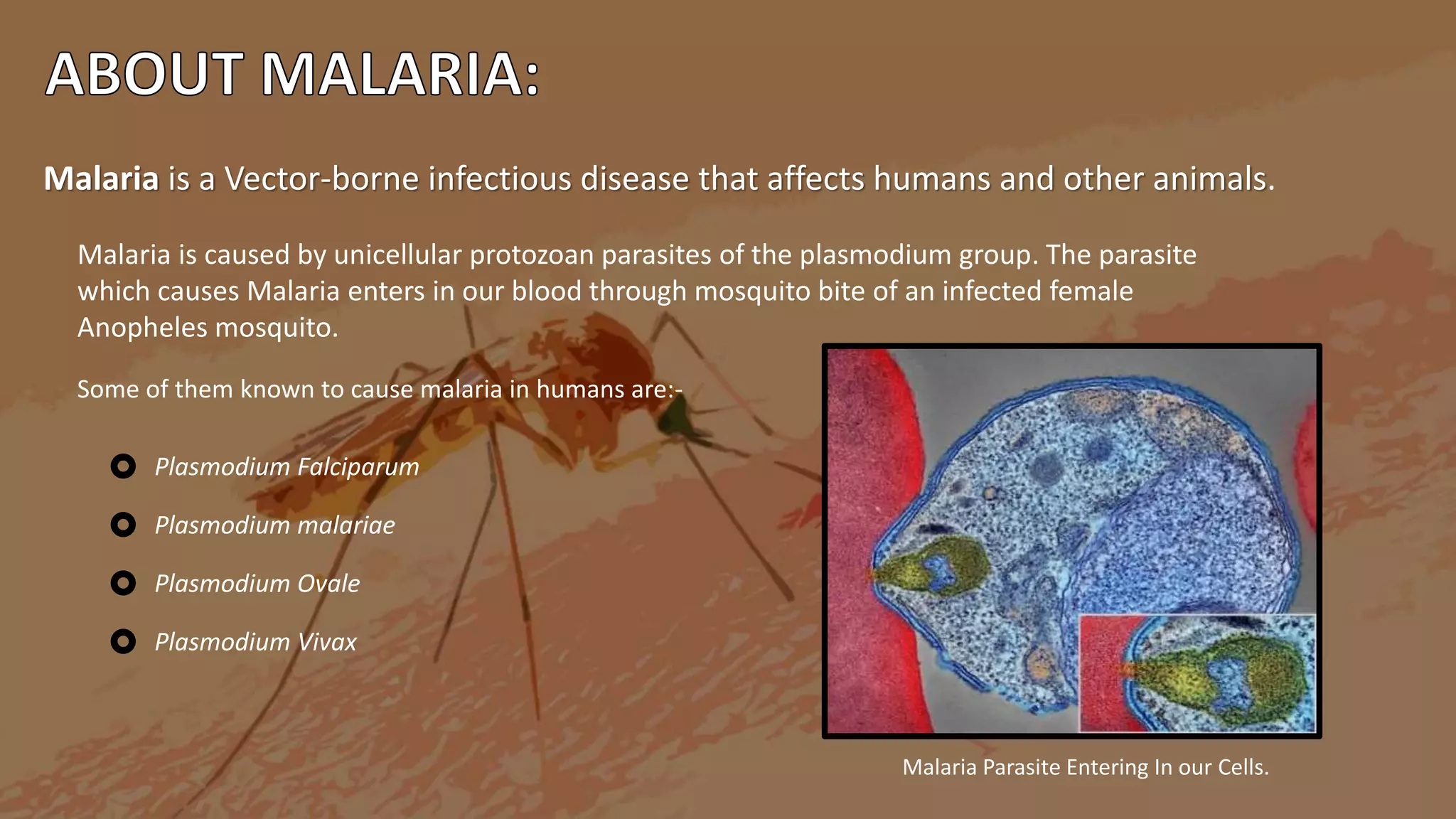 MALARIA.pptx