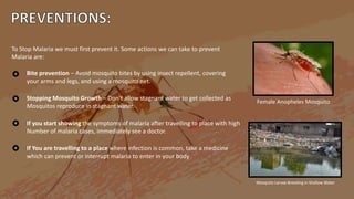 MALARIA.pptx