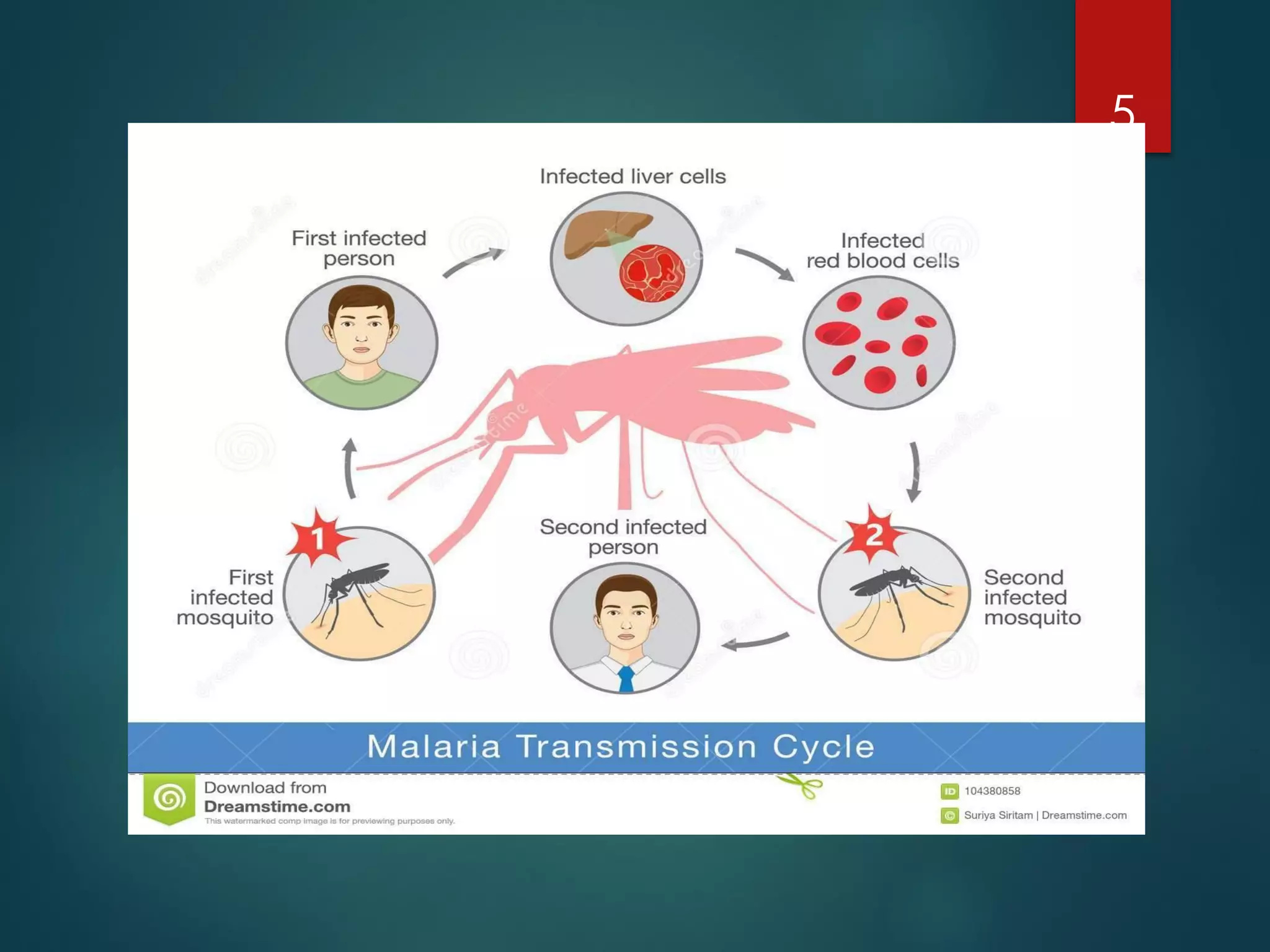 Malaria.pdf