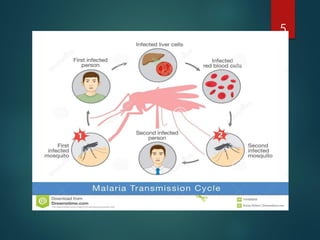 Malaria.pdf