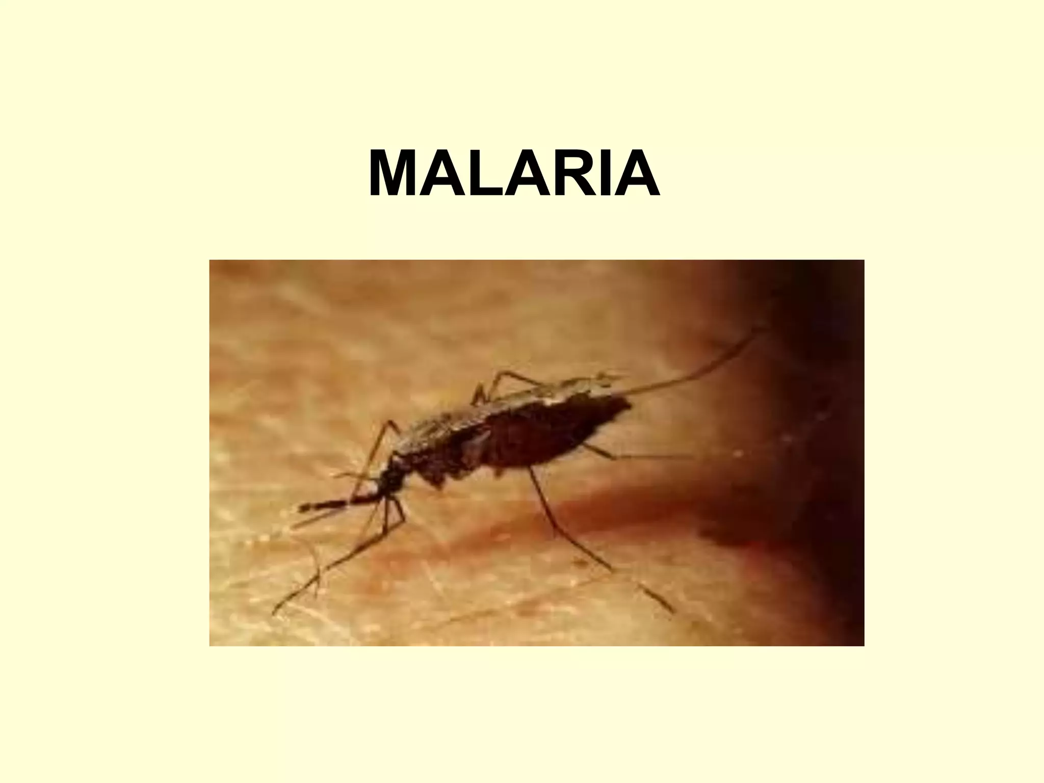 MALARIA.ppt | Infectious Diseases | Diseases and Conditions