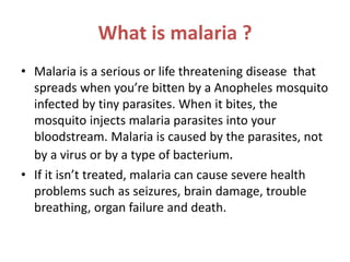 MALARIA.pptx | Infectious Diseases | Diseases and Conditions