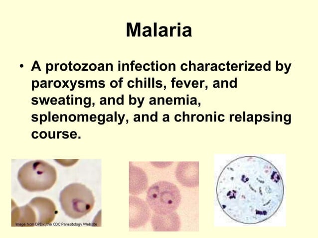 MALARIA.ppt