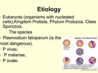 MALARIA.ppt