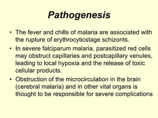 MALARIA.ppt