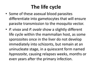 Malaria.ppt