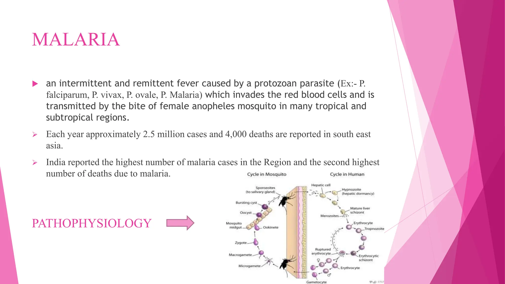 malaria.pptx