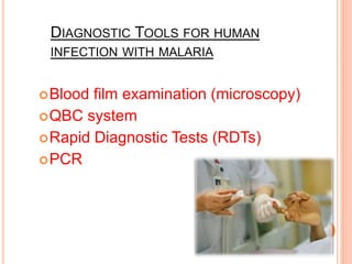 "Unveiling Malaria: Understanding, Prevention, and Treatment" | PPTX