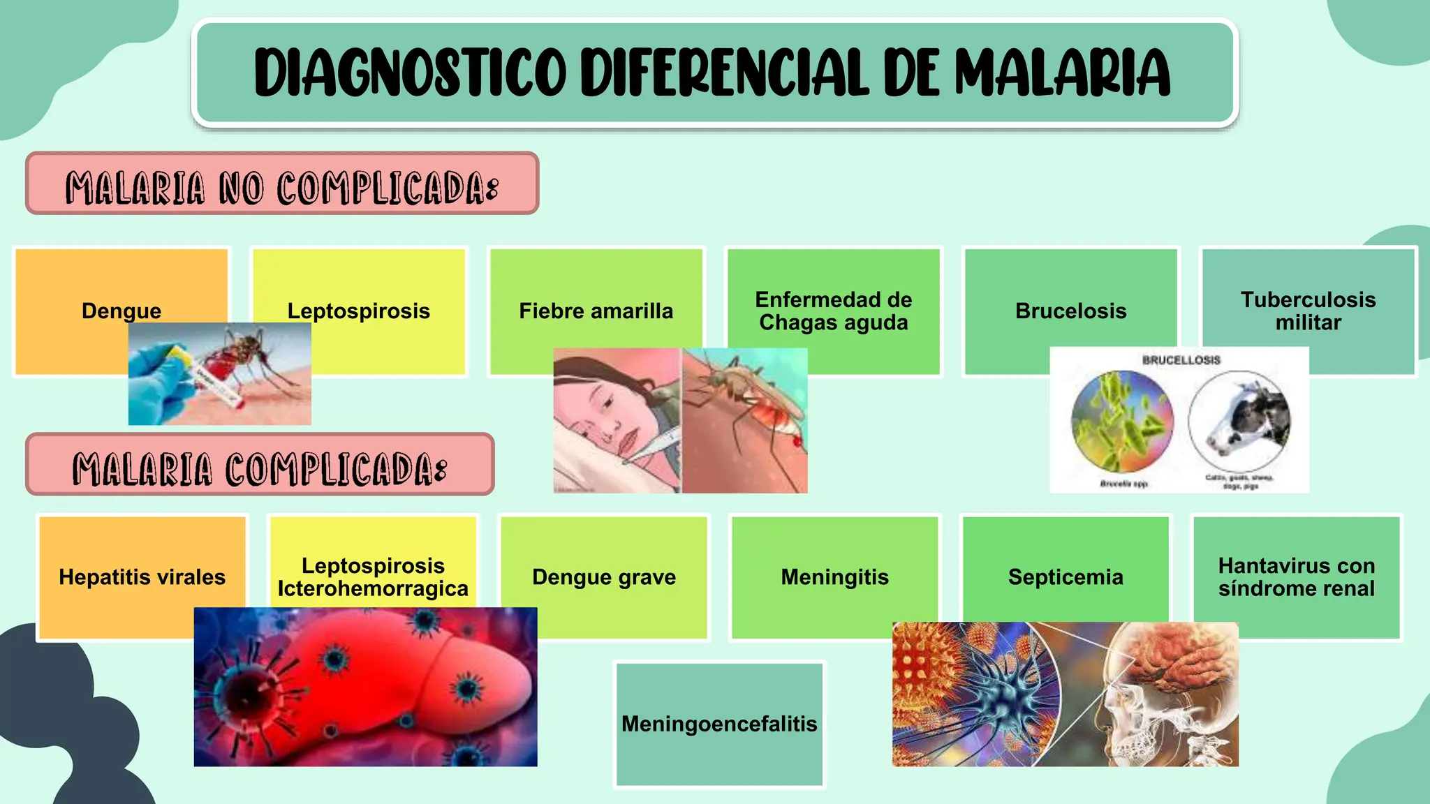 Paludismo o Malaria- Medicina tropical.pptx