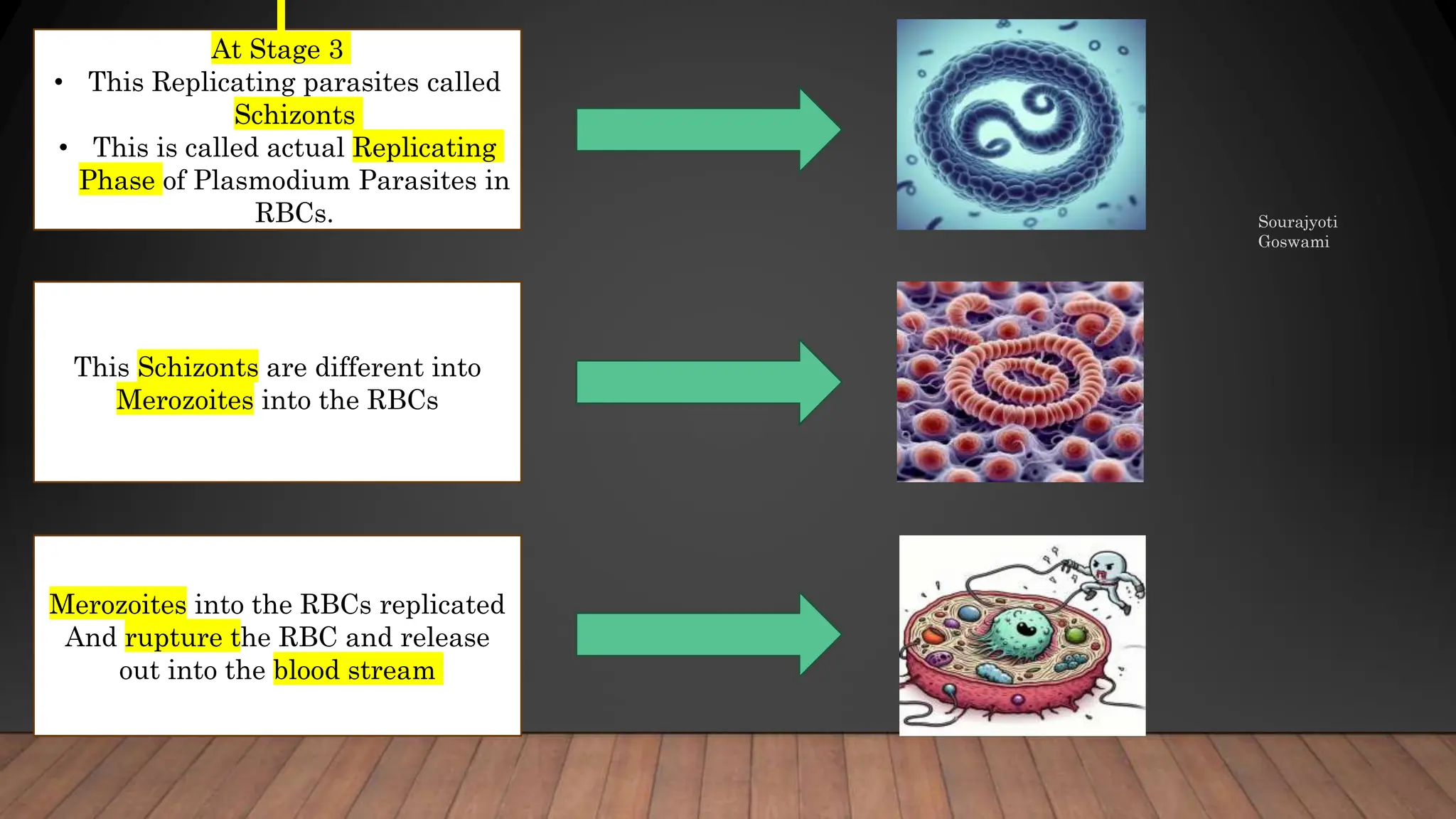 Malaria Disease: Etiology, Treatment, Diagnosis, Pharmacy. | PPTX