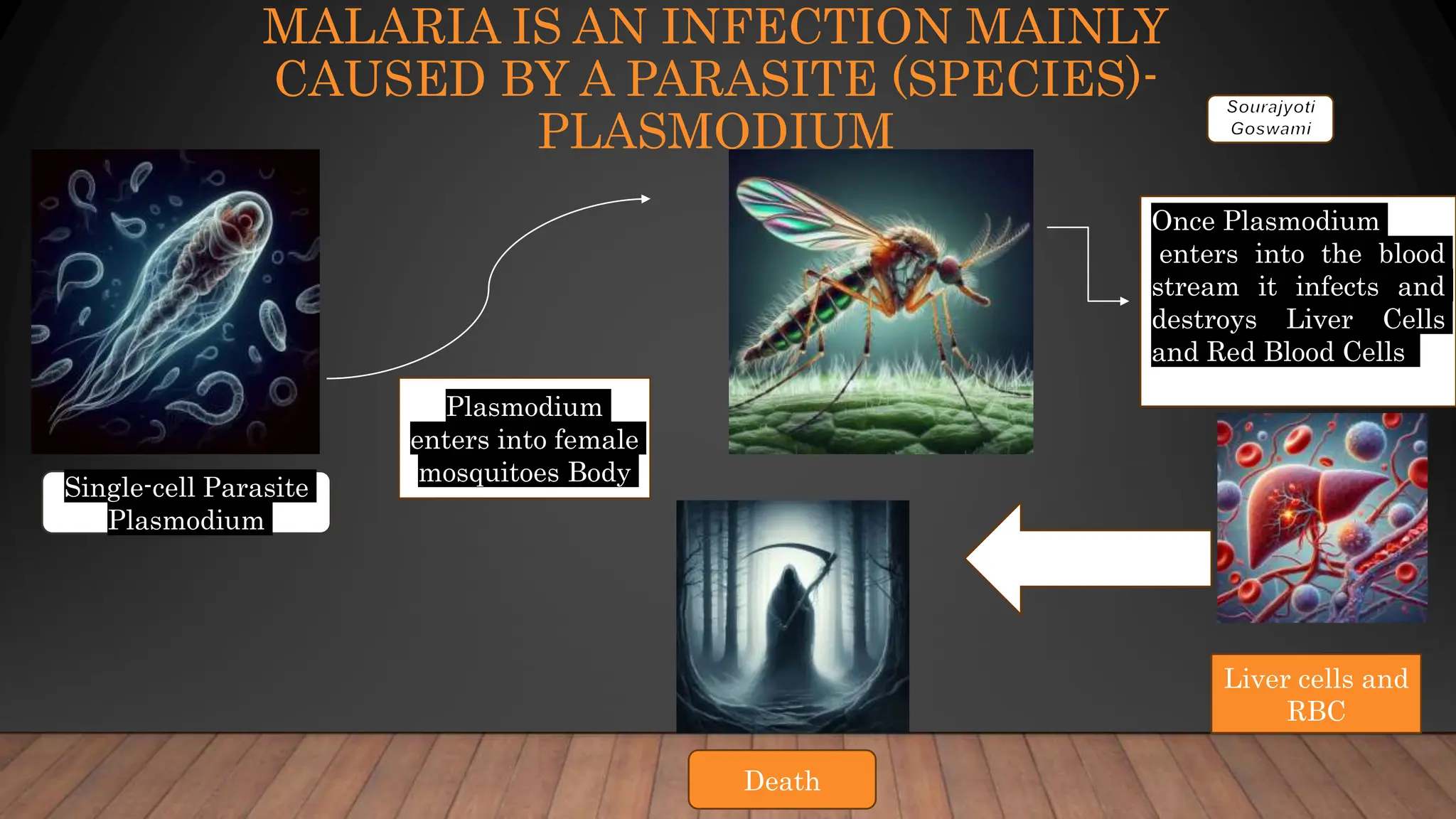 Malaria Disease: Etiology, Treatment, Diagnosis, Pharmacy. | PPTX