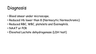 Basic understanding of malaria with insights on commonly used medicines | PPT