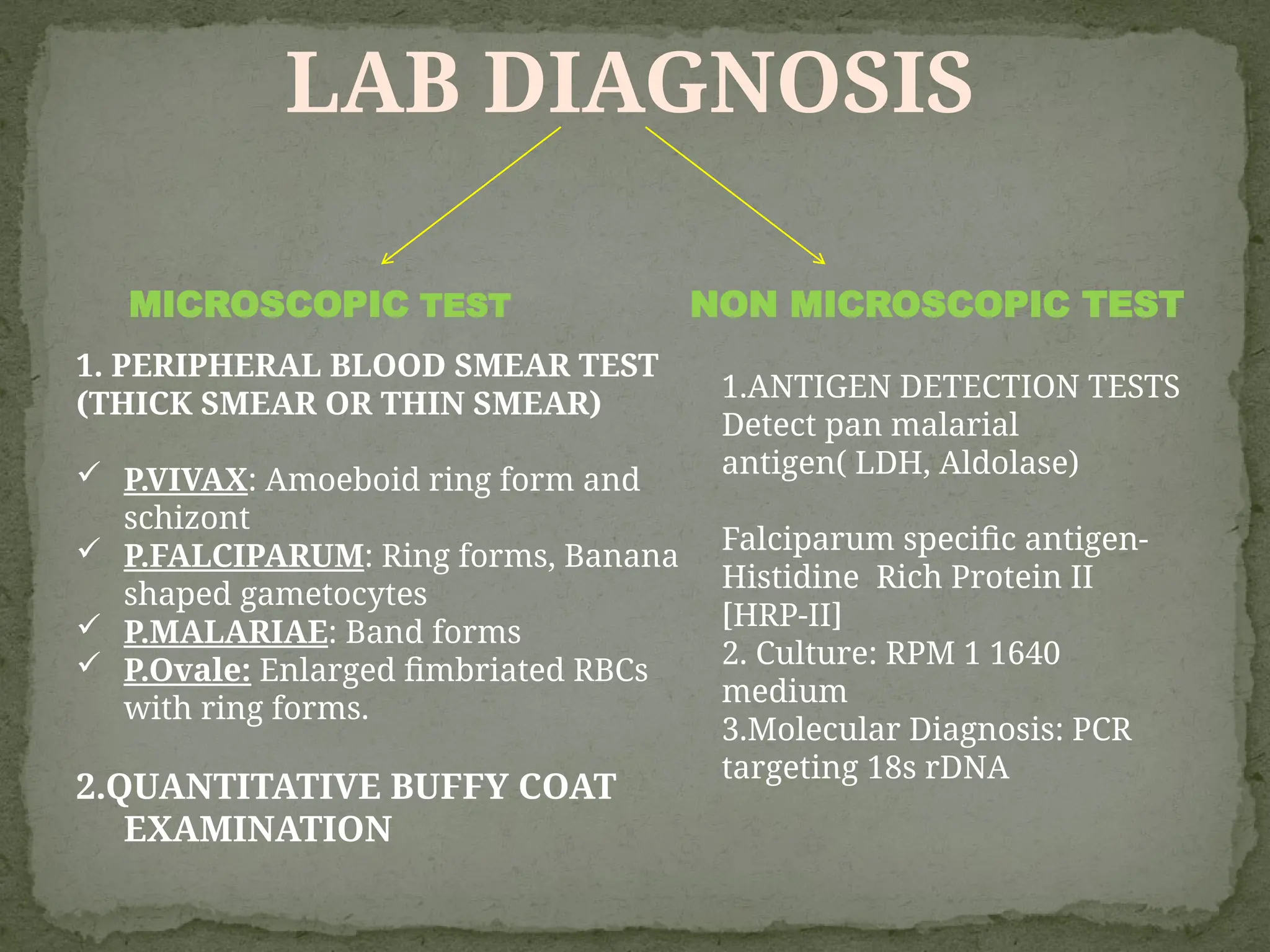 malaria life cycle, patho physiology,lab diagnosis | PPTX