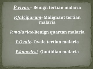malaria life cycle, patho physiology,lab diagnosis | PPTX
