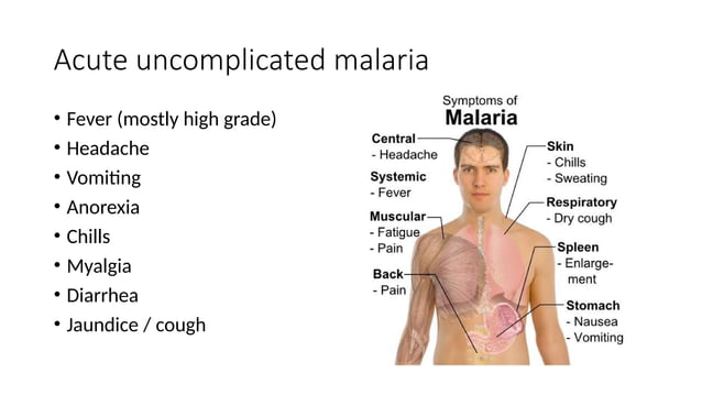Malaria( introduction, treatment an complications of malaria) | PPT