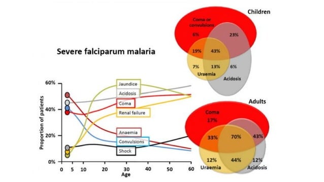 Malaria( introduction, treatment an complications of malaria) | PPT