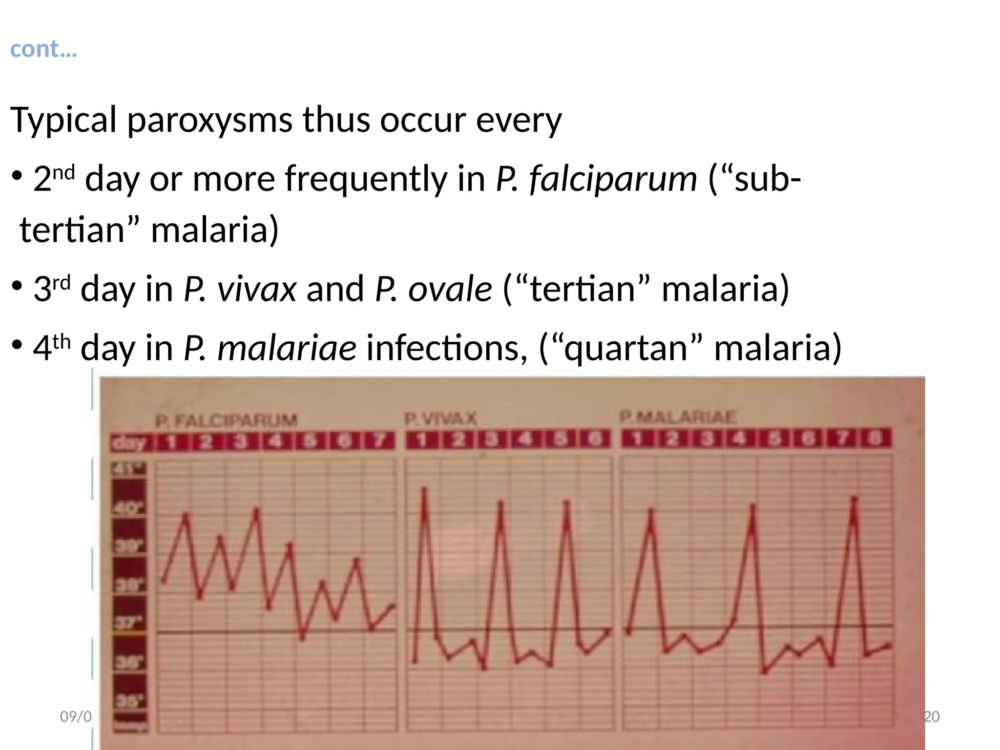 Malaria.pptx, Malaria in Pregnancy 2024. | PPTX
