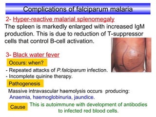 malaria.ppt taxonomy, life cycle, pathogeisty | PPT
