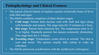 An overview on Malaria by Awadhesh Murmu | PPT