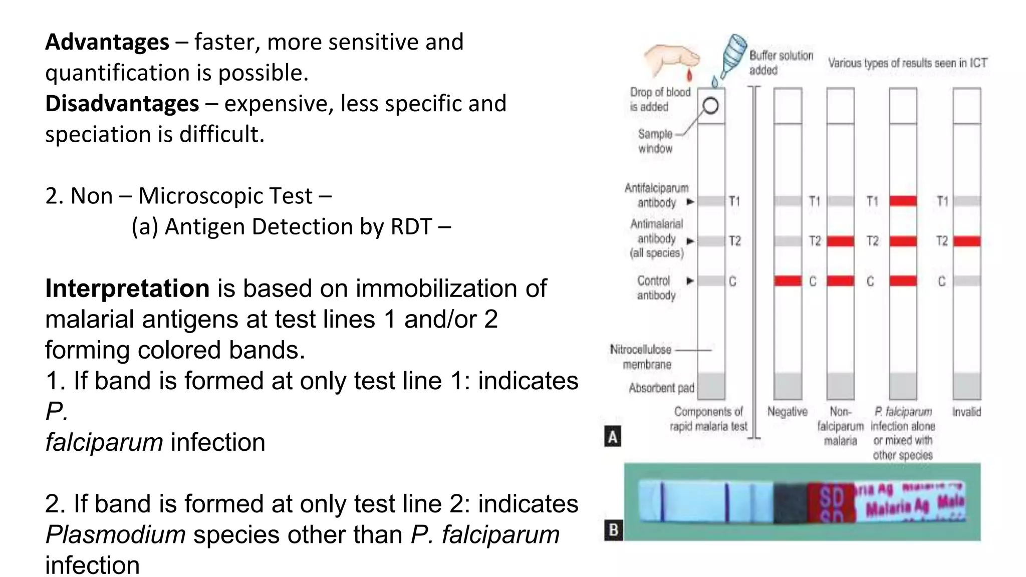 malaria - lab. diagnosis.pptx