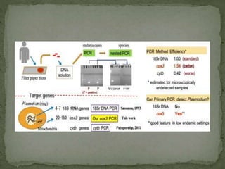 Malaria laboratory diagnosis | PPTX