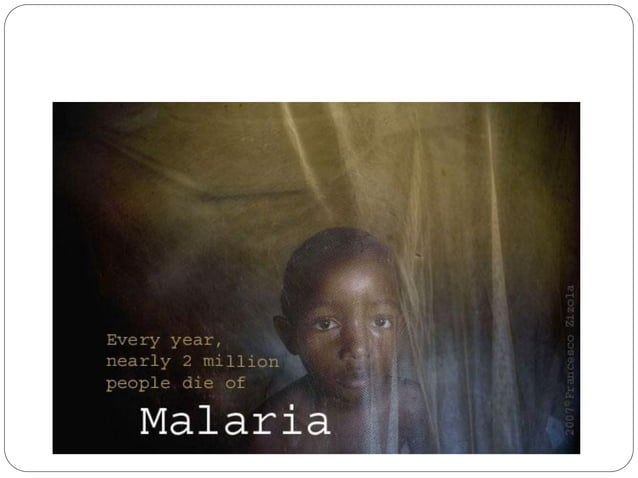 Malaria lecture 1 | PDF