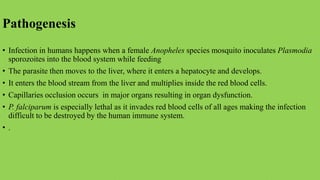 Malaria-Parasitorology, clinical features, pathogenesis and treatment.pdf