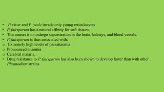 Malaria-Parasitorology, clinical features, pathogenesis and treatment.pdf