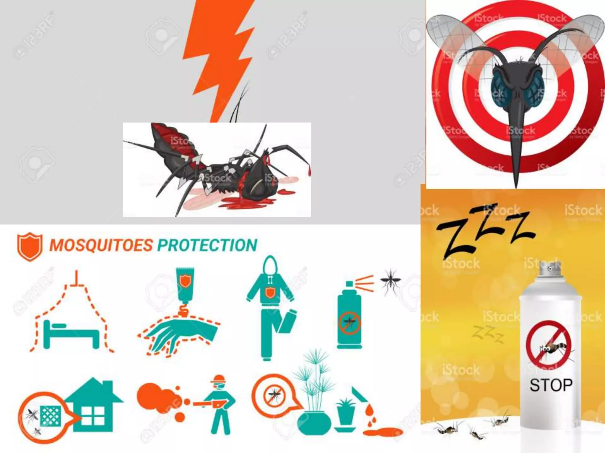 Malaria.ppt