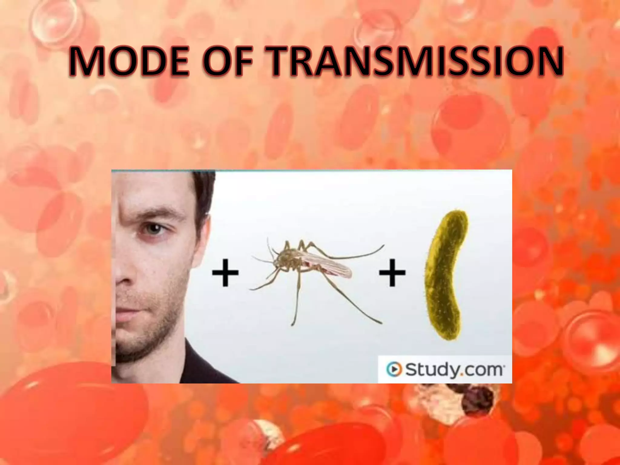 Malaria.ppt