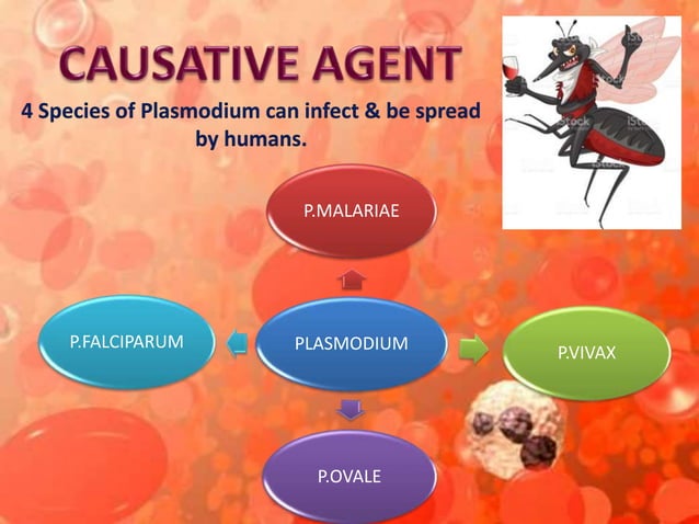 Malaria.ppt