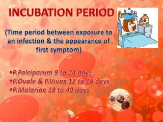 Malaria.ppt
