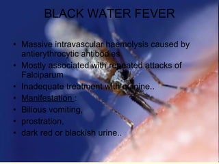malaria | PPT