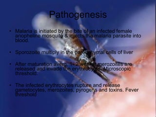 malaria | PPT