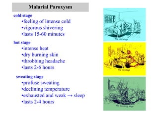 Malaria 2019.pptx plamodium ovsle, falciprum, vivax, malarea | PPT