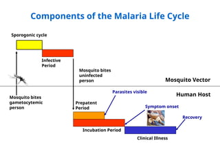 Malaria- Seasonal disease-Pharmacology . | PPT