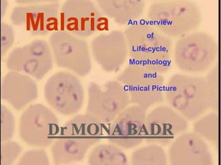malaria 3.ppt