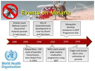 Malaria and Dengue | PPT