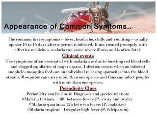 Malaria and Dengue | PPT