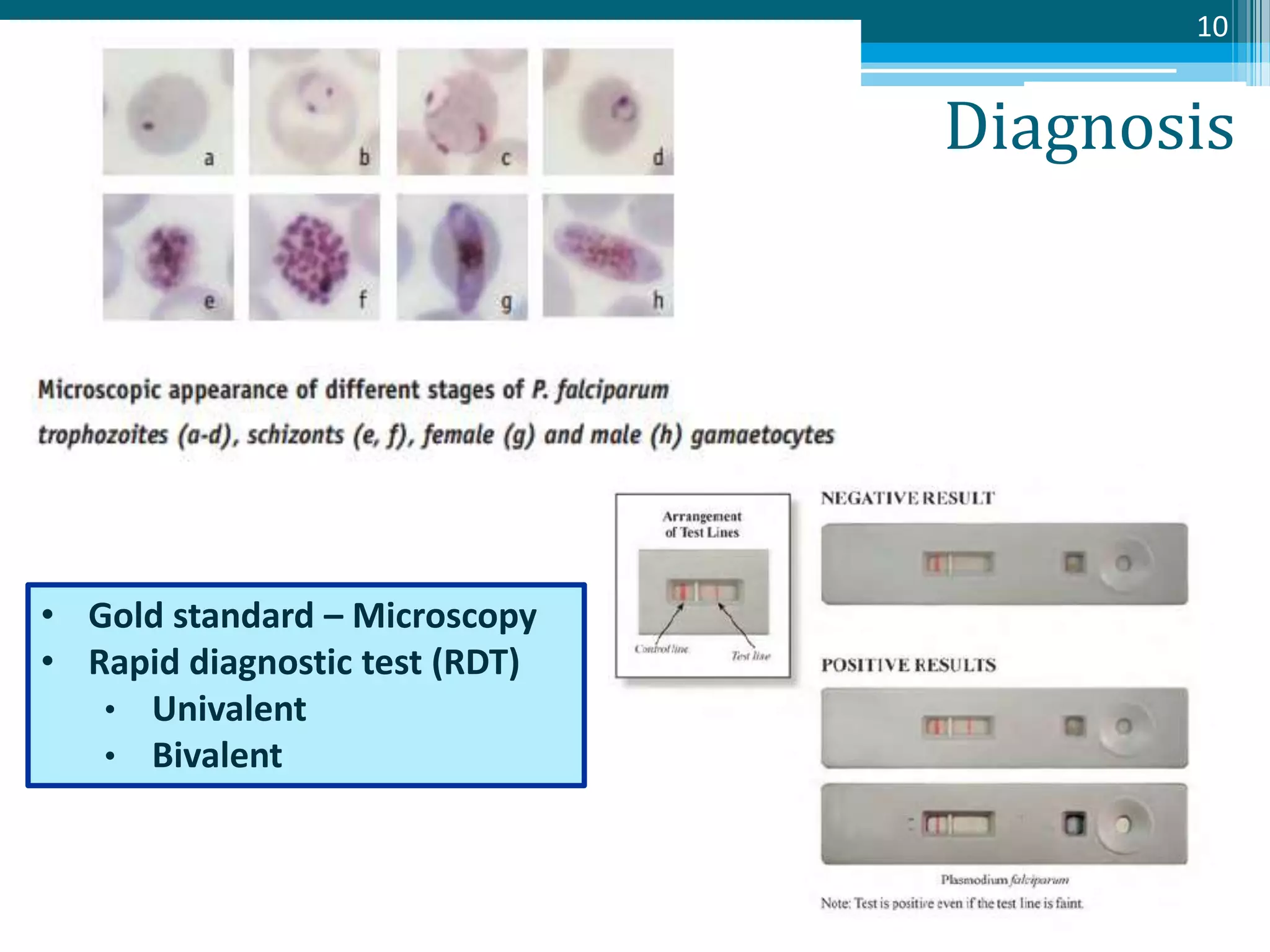 Pharmacotherapy of Malaria | PPTX