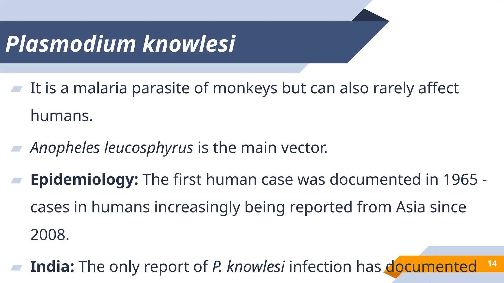 Malaria and Babesiosis.pptx mbbsmbbsmbbs | PPTX