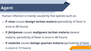 Malaria and Babesiosis.pptx mbbsmbbsmbbs | PPTX