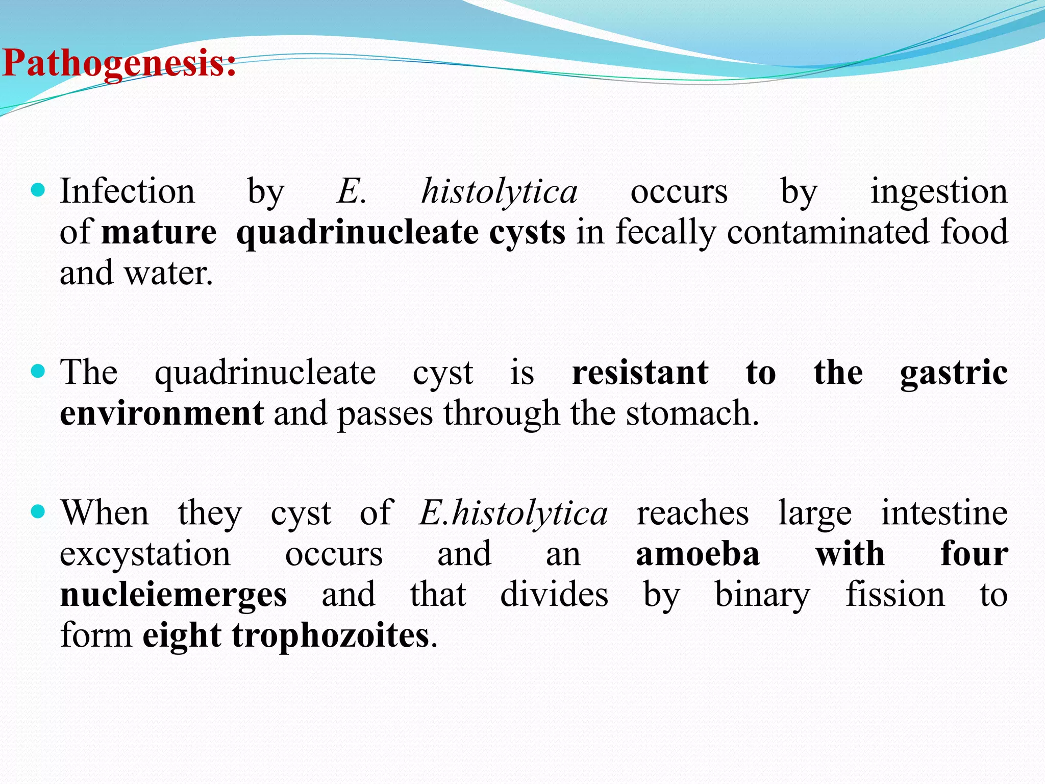 Entamoeba Histolytica and Plasmodium vivax | PPTX