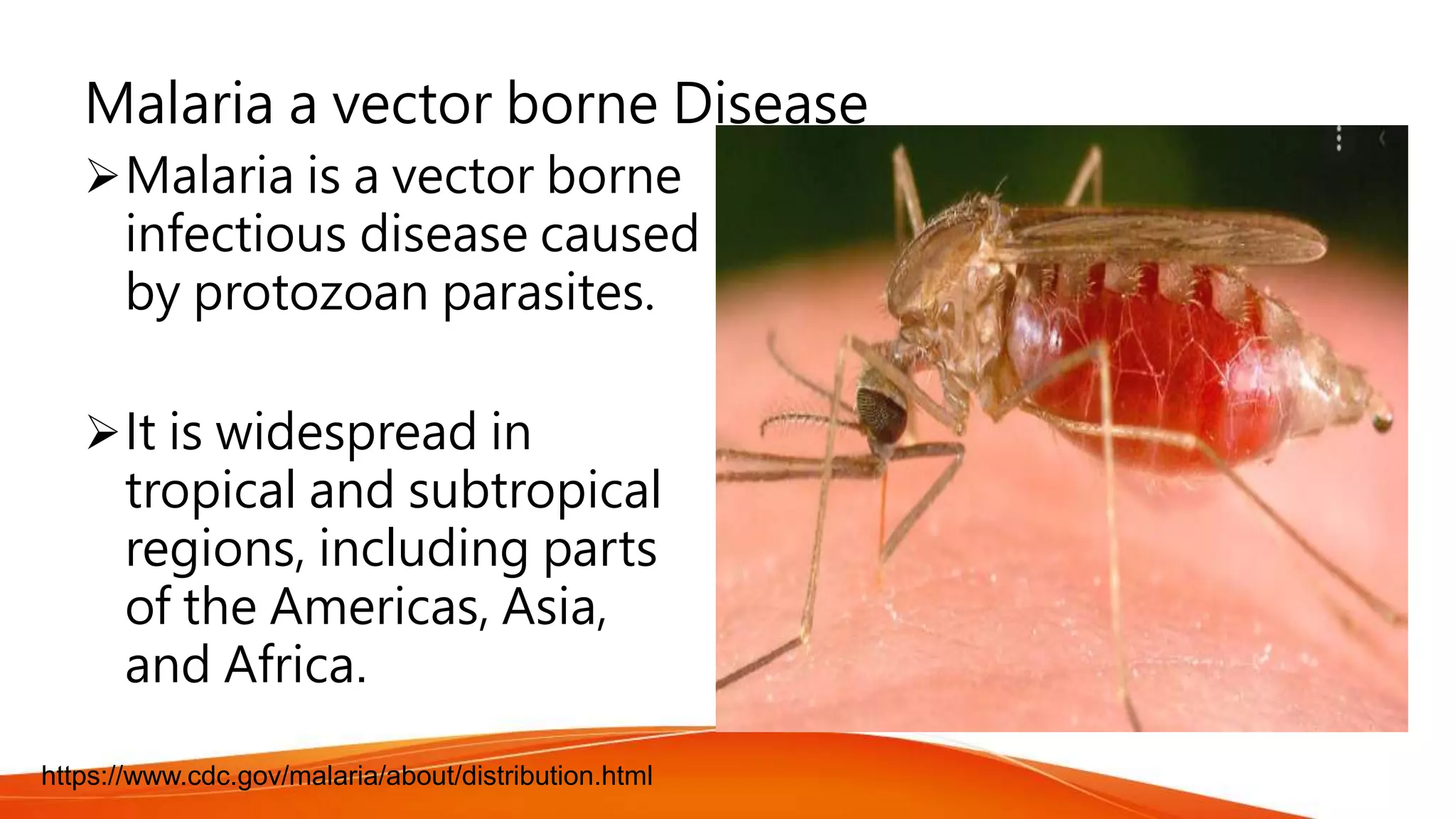 MALARIA AND OTHER COCCIDIO.pptx