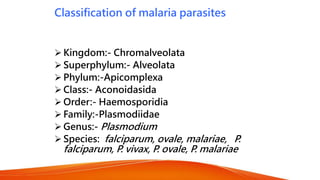 MALARIA AND OTHER COCCIDIO.pptx